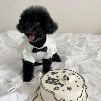 China Luxury Cute Creative Comfortable Halloween Striped Summer Puppy Dress Dogs Chihuahua Bichon Yorkie Cat Costume XXL Suspender for sale