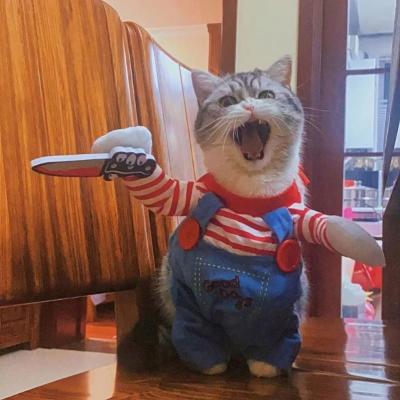 China Funny Cute Halloween Striped Polyester Dog Coat for Small/Medium Dogs & Cats-Party Dressing Machine Washable Cosplay for sale