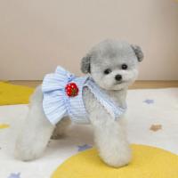 China Cute Polyester Striped Pet Dog Dress for Small Dogs Thin Puppy Princess Skirt All Seasons Dog Clothes Chihuahua York Clothing for sale