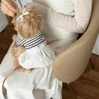 China Fashionable Cute Anti-Shedding Summer Teddy Puppy Vest for Dogs Polyester Creative Design Maltese Skirt XL Size Pets Supplies for sale