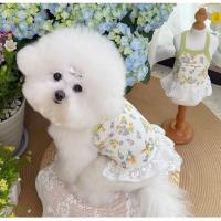 China Cute All Seasons Halloween Pet Clothes for Small Dogs and Puppies Chic Lace Skirts with Animal Pattern for Chihuahuas Kittens for sale