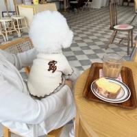 China Puppy Vest Summer 2025 Dog Cat Chihuahua Bichon Frise Cute Polyester Pet Clothing T-Shirt Knitted Undershirts for sale