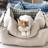 China Wholesale Four Seasons Luxury Modern Style Eco-Friendly Cotton Linen Waterproof Comfortable Collapsible Travel Dog and Cat Beds for sale
