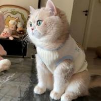 China Cute Polyester Pet Vest for Medium Dogs and Cats Summer Cooling Breathable Halloween Animal Print Christmas D Ring Dog Clothes for sale