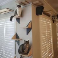 China Luxury Durable Eco-friendly Wooden Cat Tree Wall Mounted Cat Nest Sisal Scratching Post Clouds Jumping Platform Indoor Outdoor for sale