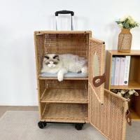 China Luxury Rattan & Metal Polyester Print Zipper Cat Carrier Luggage with Telescopic Handle and Wheels for Small Pets 10KG Capacity for sale