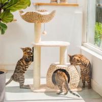 China Modern Luxury Classic Eco-friendly Wooden Sisal Cat Tree with Scratch Post Climbing Frame Toy House Tower Nest Christmas Carton for sale