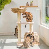 China Modern Luxury Classic Eco-friendly Wooden Sisal Cat Tree with Scratch Post Climbing Frame Toy House Tower Nest Christmas Carton for sale