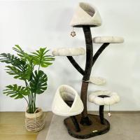 China Luxury Cat Tree Tower Unique Cat Tree White Flower Tree for sale