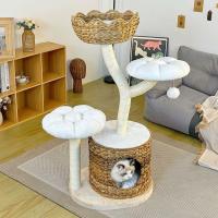 China Cat Condo Tree Tower Pet House OEM/ODM Furniture Modern Cats Climbing Tree with Solid Scratching Pillar for sale