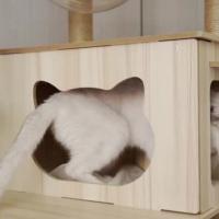 China Hot Sale Luxury Modern Wood Cat Tree Condo with Scratcher and Climbing Frame Halloween Indoor Use Carton Packed for sale