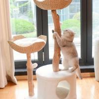 China Hot Pet Furniture Modern Kitten House Wooden Cat Tree Tower Scratcher Luxury Kitten Flower Condo Cozy Plush Wood Floral Cat Tree for sale
