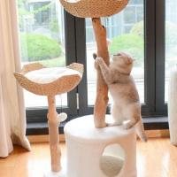 China Factory Dropshipping Modern Halloween Designer Tall Solid Wooden Sisal Eco-Friendly Durable Cat Scratching Tree Indoor Climbing for sale