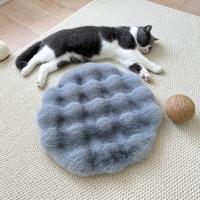 China All-Season Luxury Cat Dog Nest Plush Cushion Blanket Soft Wool Flannel Round Portable Warm Mat High Quality Pet Mat for sale