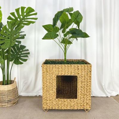 China PE Cat House Hand-woven Pet Cage Bed Basket for Cats and Small Dogs Modern Fashion Square Design Carton Packaging for sale