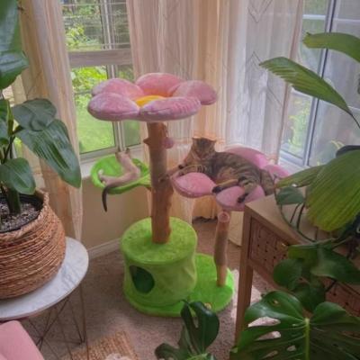 China Luxury Modern Solid Wood Cute Cat Condo Scratching Tree Floral Design Eco-Friendly Customizable Indoor Use Carton Packaging LXD for sale