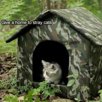 China Outdoor Waterproof Cat Small Dog Pet Bed Modern Square Design Portable Collapsible Oxford Fabric Carton Packaging All Seasons for sale