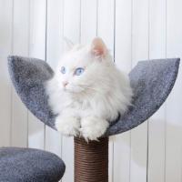 China Natural Sisal & Wool Eco-Friendly Cat Scratching Post & Climbing Frame with Christmas Design-Cat Toy for Grinding Claws for sale