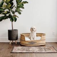 China Ghanaian Handmade Seagrass Rectangle Fashion Dog & Cat Kennel Pet Bed with Removable Cover Washable Storage Basket for sale