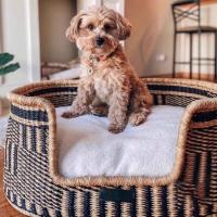 China Ghanaian Handmade Seagrass Rectangle Fashion Dog & Cat Kennel Pet Bed with Removable Cover Washable Storage Basket for sale