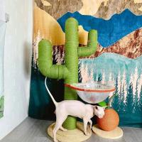 China Modern Luxury Large Multi-Level Eco-Friendly Durable Cat Scratching Post Cactus-Inspired Outdoor Toys Climbing Frame Sisal for sale
