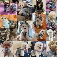 China Luxury 2025 Summer Striped Puppy Dress Set Creative Comfortable Cute Fabric Costume Chihuahua Yorkie Cats Dogs XXL Suspender for sale