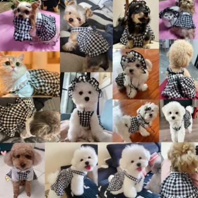 China Luxury 2025 Summer Striped Puppy Dress Set Creative Comfortable Cute Fabric Costume Chihuahua Yorkie Cats Dogs XXL Suspender for sale