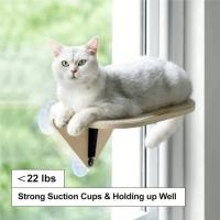 China Luxury Halloween Cat Window Perch Hammock with Climbing Steps & Scratching Post Wooden Window-Mounted Cat Bed for Indoor Cats for sale