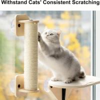 China Luxury Halloween Cat Window Perch Hammock with Climbing Steps & Scratching Post Wooden Window-Mounted Cat Bed for Indoor Cats for sale