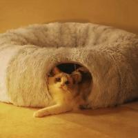 China Modern Waterproof Collapsible Cat Tunnel Bed Non-Slip Soft Plush Material Full Shape Tube Playground Toy Kittens Puppies Travel for sale