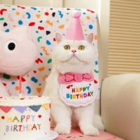 China 1set Cute Puppy Kitten Halloween Birthday Dog Cat Hats Scarves Creative Comfortable Machine Washable Polyester Material All Pet for sale
