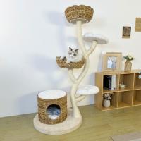 China Cat Tree Kitty Activity Center Cat Climbing Toy with Cattail Fluff Bed Condo Sisal Scratching Post for sale