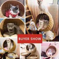 China Hot Sale Climbing Rack House Shelf Weaving Pet Litter Sisal Jumping Platform Tree for sale