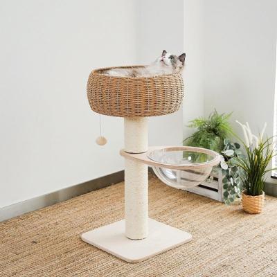 China Fat Cat Puppet Maine Cat Nest Tree with Four Seasons Climbing Frame Rattan Sisal Nest Wood Material for One or Four Cats for sale