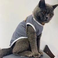 China Comfortable Creative Halloween Pet Vest for Cats and Dogs Sleeveless Solid Pattern for sale