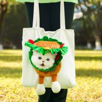 China New Design Modern Foldable Nylon Square Shoulder Bag Cat & Dog Carrier Portable Breathable Large Capacity Outdoor Pet Travel Bag for sale