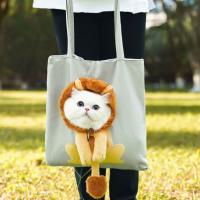 China New Design Modern Foldable Nylon Square Shoulder Bag Cat & Dog Carrier Portable Breathable Large Capacity Outdoor Pet Travel Bag for sale