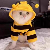 China Wholesale Polyester Halloween Cute Animal Print Dog Cat Hoodies for Pets-Spring Autumn Season for sale