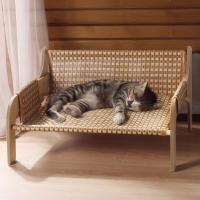 China Dual-Purpose Modern Cat Scratch Board Recliner Sofa Removable Washable Cover Comfortable Rectangle Pet Chair for Cats-All for sale