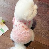 China Small XS Size Dog INS Dance Skirt Dress Striped Mesh Layer Teddy Coat Accessory Halloween Birthday Christmas Funny Cute Pet for sale