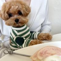 China Black Striped Teddy T-Shirt for Small Dogs XS-XL Summer Pullover Two Leg Clothes Soft Polyester Fabric Cartoon Dog Christmas for sale