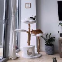 China Cat Tree Tower Solid Wood Sisal Rope Climbing Frame Eco-Friendly Minimalist Modern Large Real Branch Luxury Carton for sale