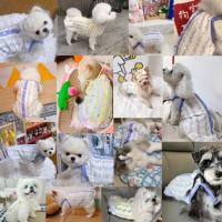 China Puppy Suspenders Summer Cooling Vest Cute Girl Dog Clothes for Bichon Chihuahua Pet Outfit Dog Vests for Birthday & Christmas for sale