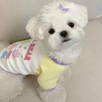 China Cool Summer Thin Cats Pullover T-Shirt Anti-Shedding Animal Print Cartoon Design XS Size for Bichon Frise Maltese Birthdays for sale