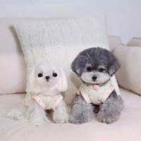 China Small Dog Teddy Clothing XS Spring Floral Tank Top Skirt for Puppy Home Clothing Made Polyester Striped for Christmas Birthdays for sale