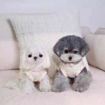 China Small Dog Teddy Clothing XS Spring Floral Tank Top Skirt for Puppy Home Clothing Made Polyester Striped for Christmas Birthdays for sale