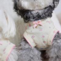 China Small Dog Teddy Clothing XS Spring Floral Tank Top Skirt for Puppy Home Clothing Made Polyester Striped for Christmas Birthdays for sale