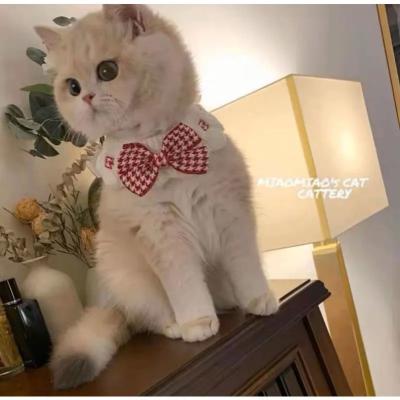 China Adorable Cute Cat Dog Bib Tie for Pets Comfortable Cloth Lace Printed Towels All Seasons Hand Wash for Christmas Halloween for sale