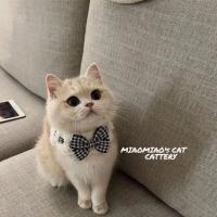 China Adorable Cute Cat Dog Bib Tie for Pets Comfortable Cloth Lace Printed Towels All Seasons Hand Wash for Christmas Halloween for sale