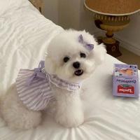 China Female Dog Cat Cute Comfortable Polyester Teddy Princess Dress Casual Striped Summer Skirt Halloween Animal for sale